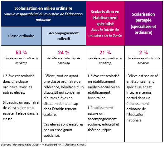 Laccueil Scolaire Des élèves En Situation De Handicap En France « Cnesco
